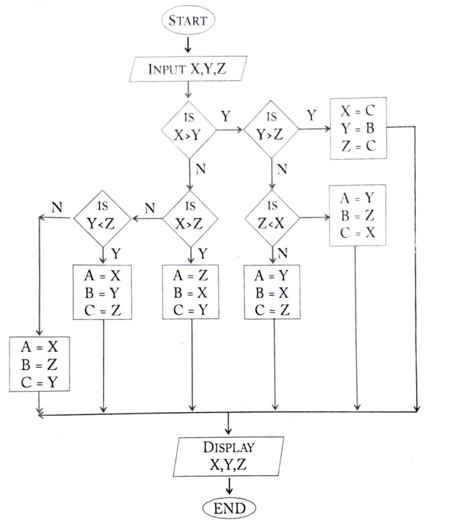 Class 9 Computer Science Chapter 7 Coding and Its Importance - Dev Library